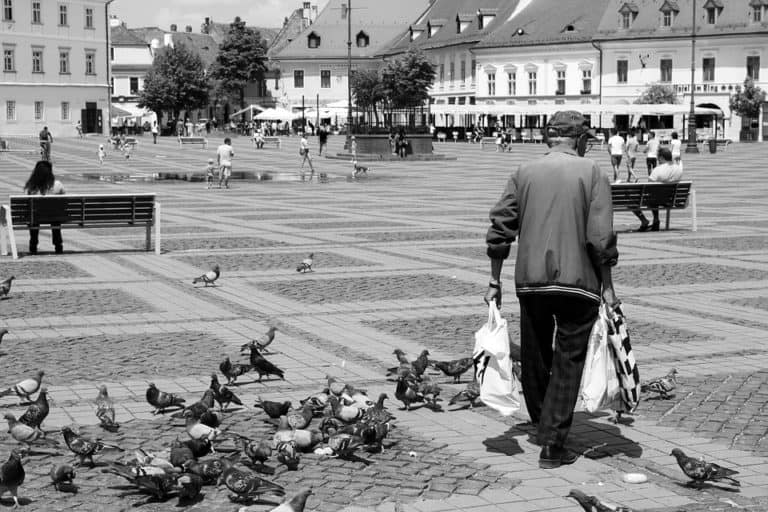Romania- the political crisis is over, but the real challenges are ...
