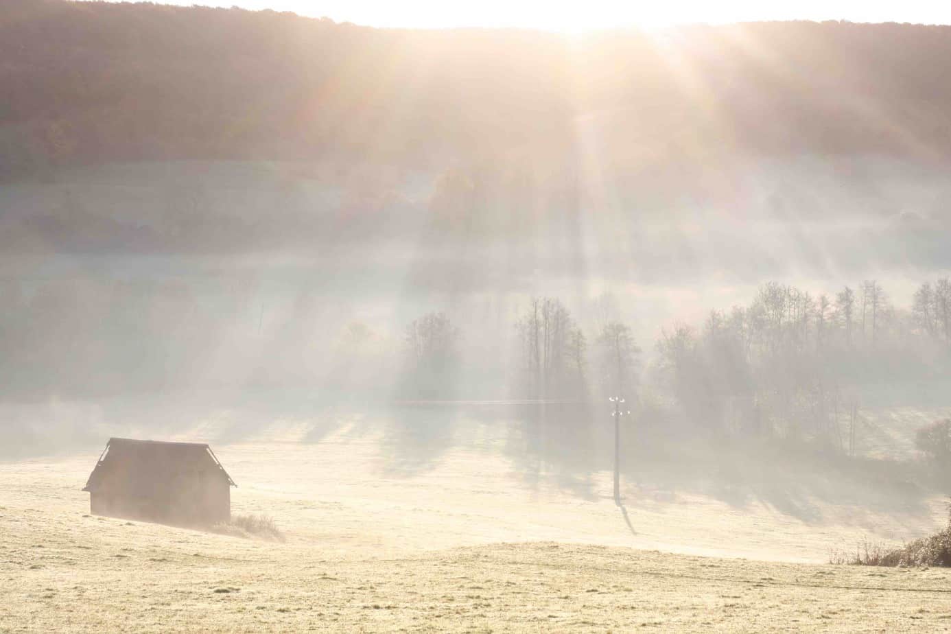 European organic agriculture: future challenges