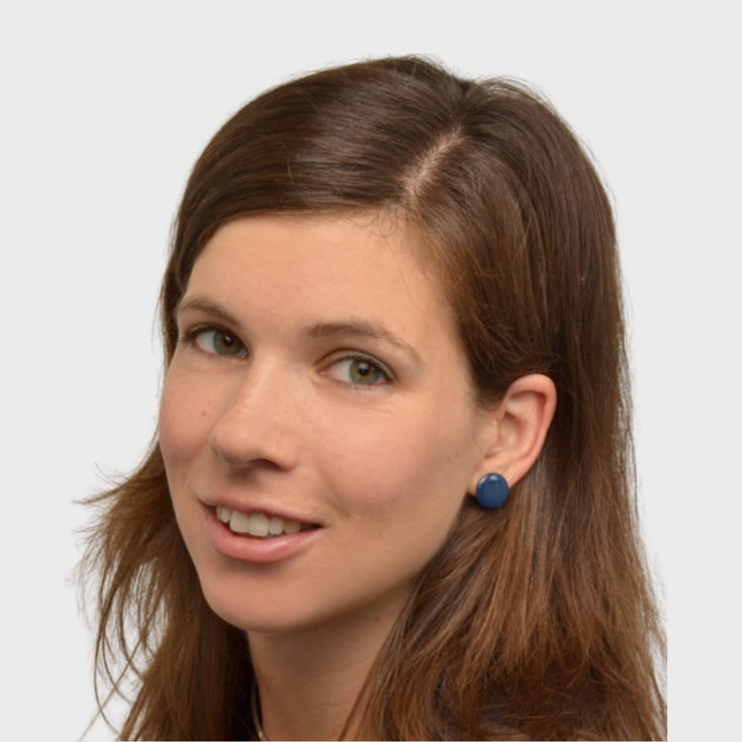 Andrea SCHMIDT - Foundation for European Progressive Studies