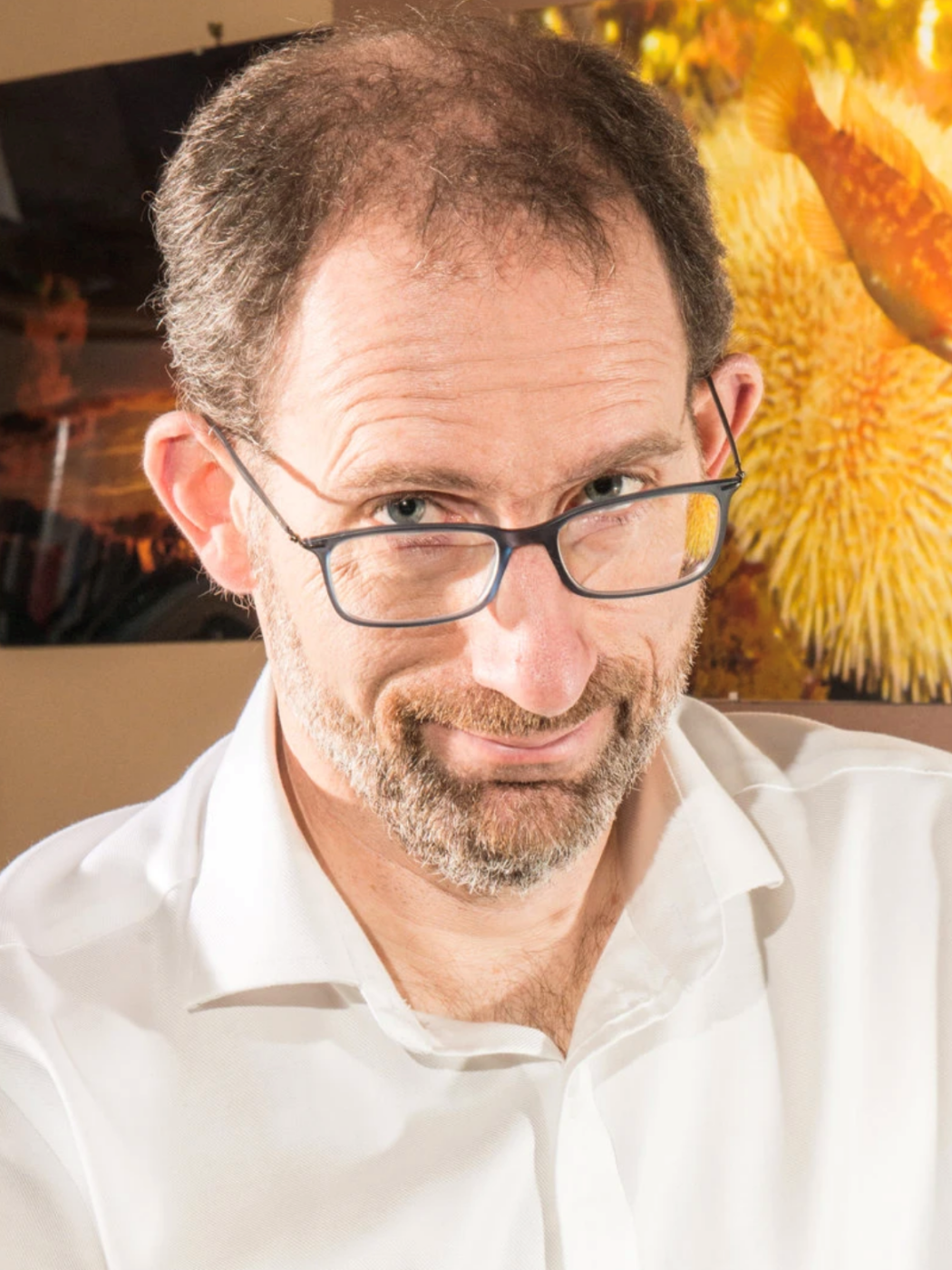 Ben NIMMO - Foundation for European Progressive Studies