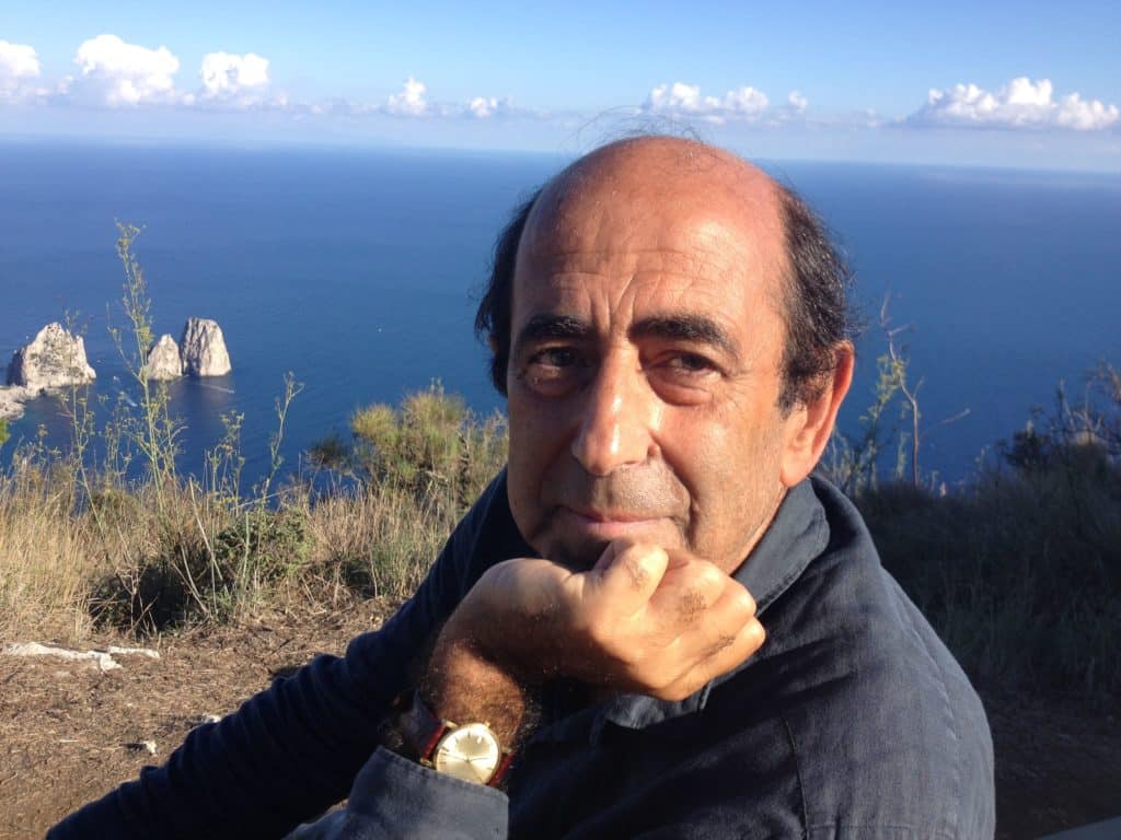 Mauro Calise - Foundation for European Progressive Studies