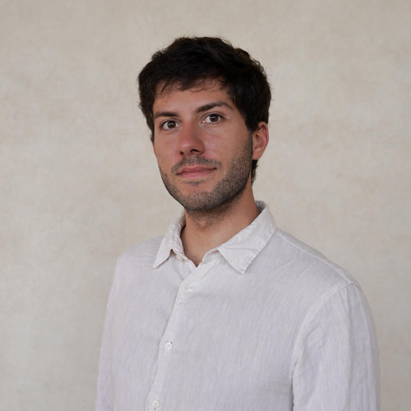 Lorenzo MASCIOLI - Foundation for European Progressive Studies