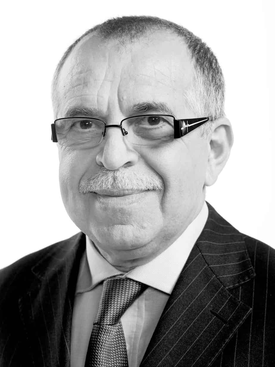 Victor Bostinaru - Foundation for European Progressive Studies