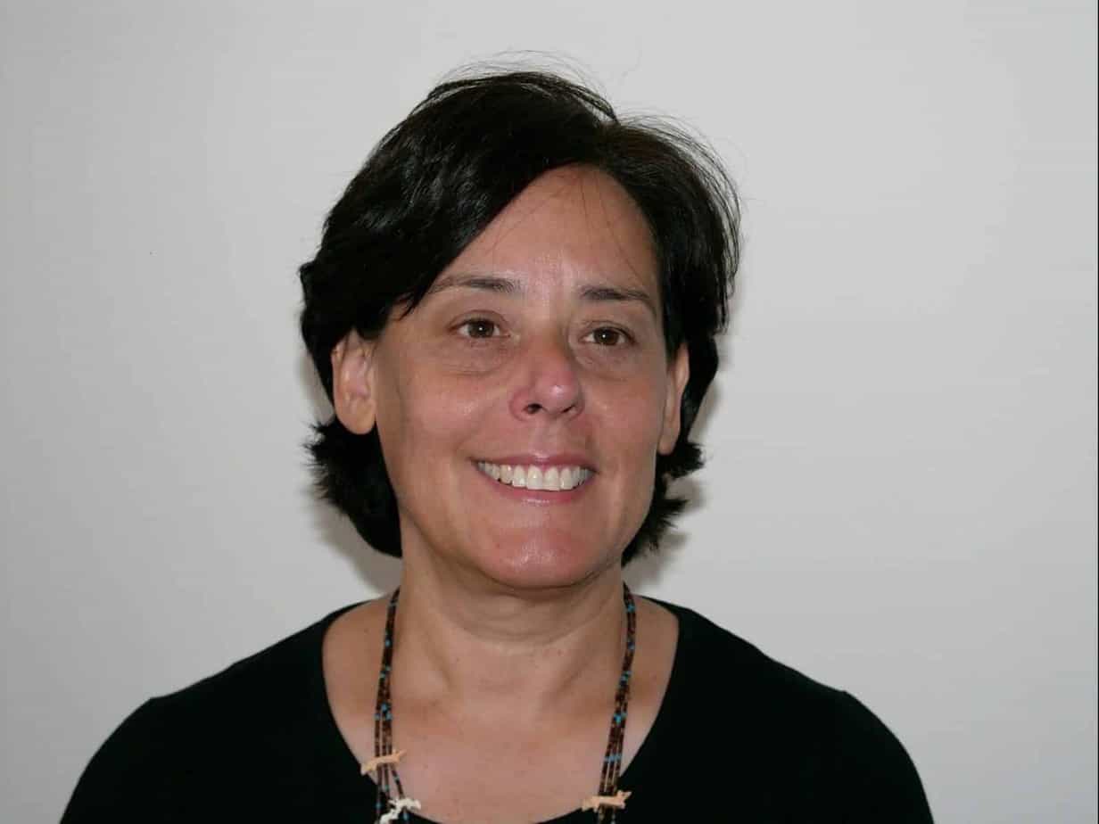 Pamela Meil - Foundation for European Progressive Studies