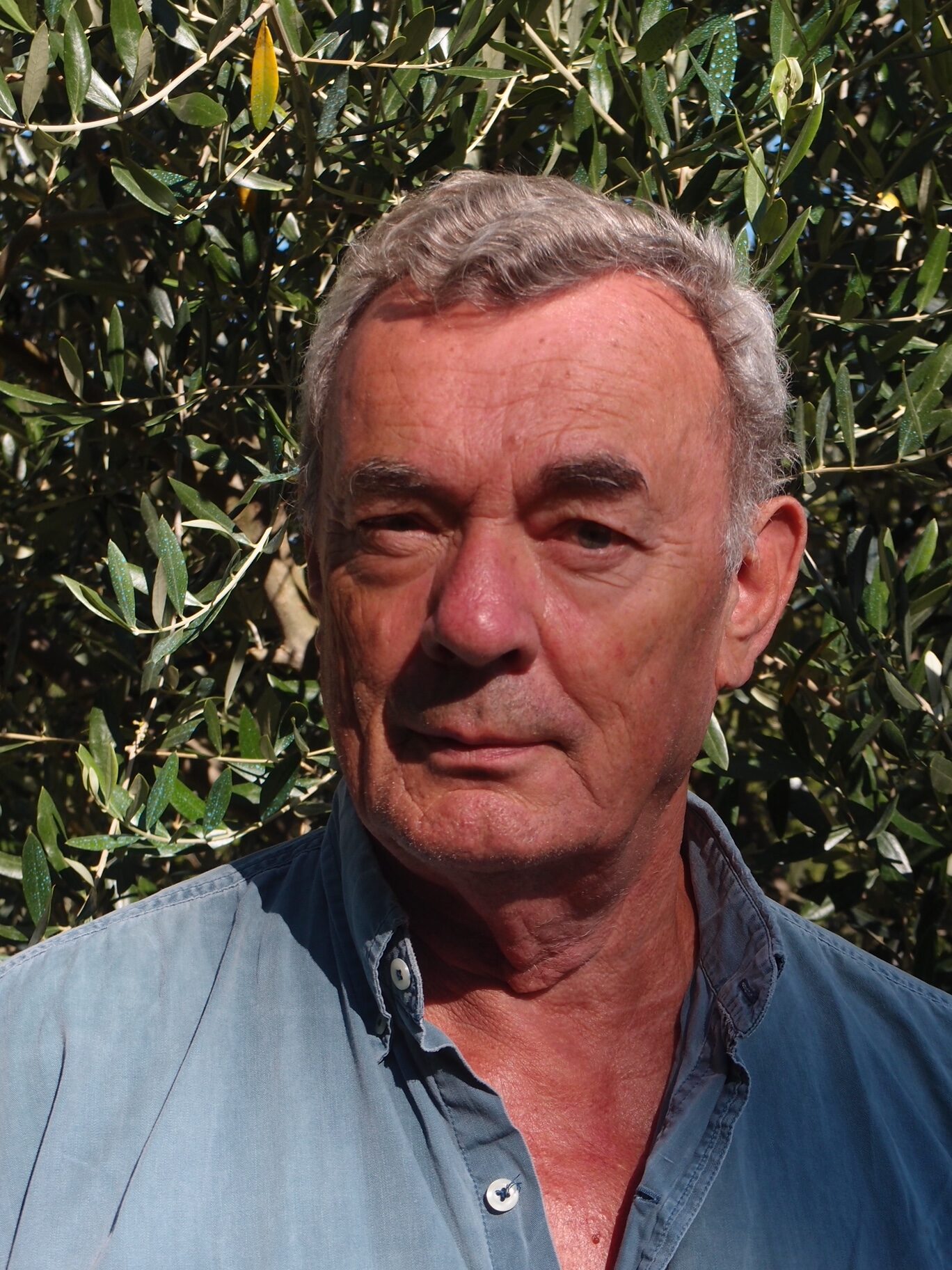 Giles MERRITT - Foundation for European Progressive Studies