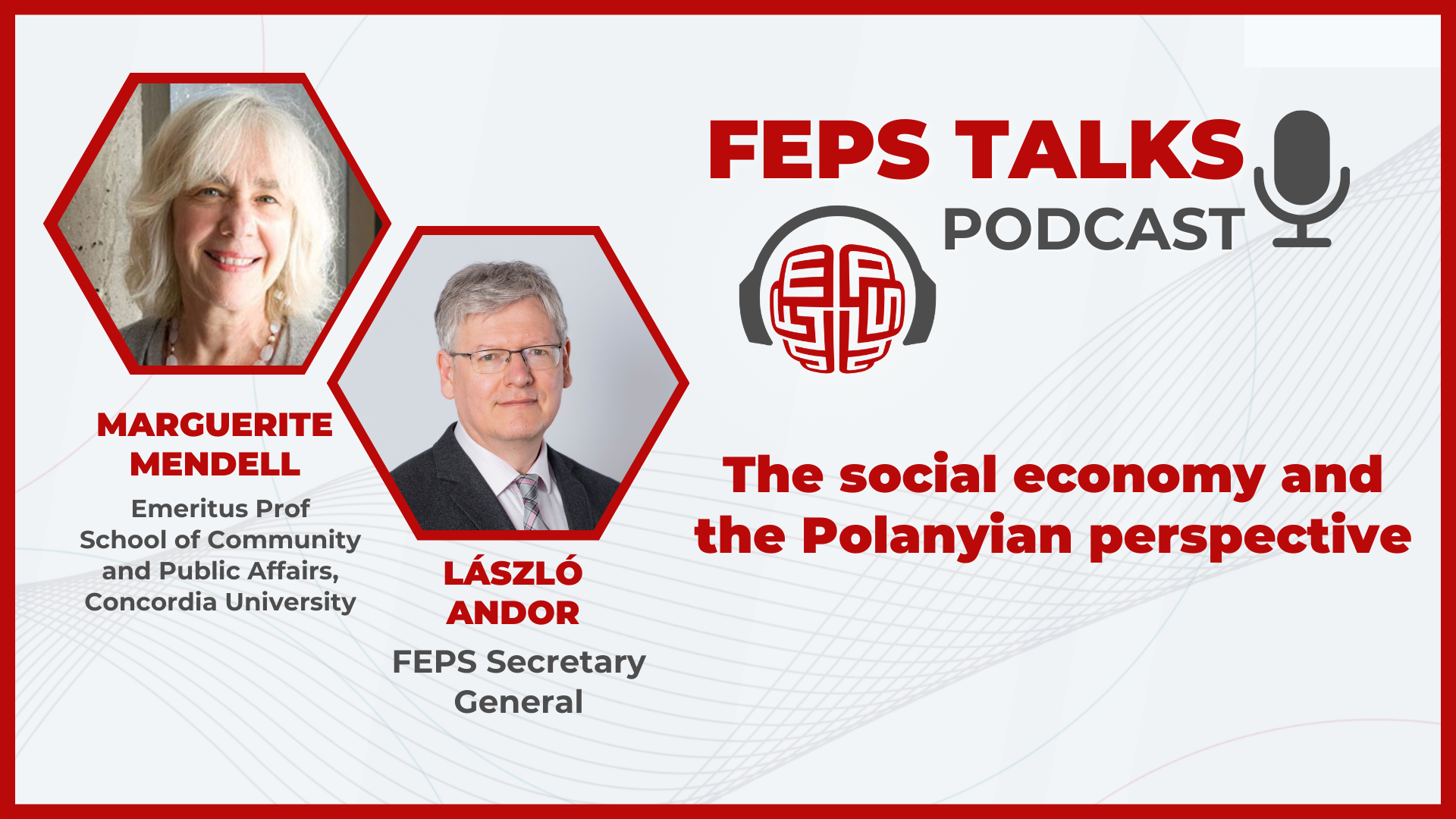 The social economy and the Polanyian perspective - Foundation for European Progressive Studies