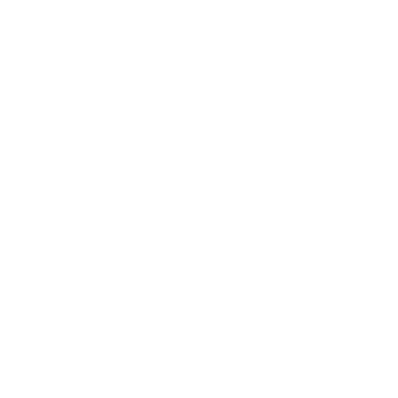 FEPS Logo - Foundation for European Progressive Studies