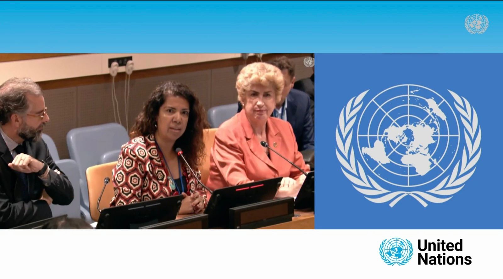 FEPS at the United Nations Summit of the Future - Foundation for ...