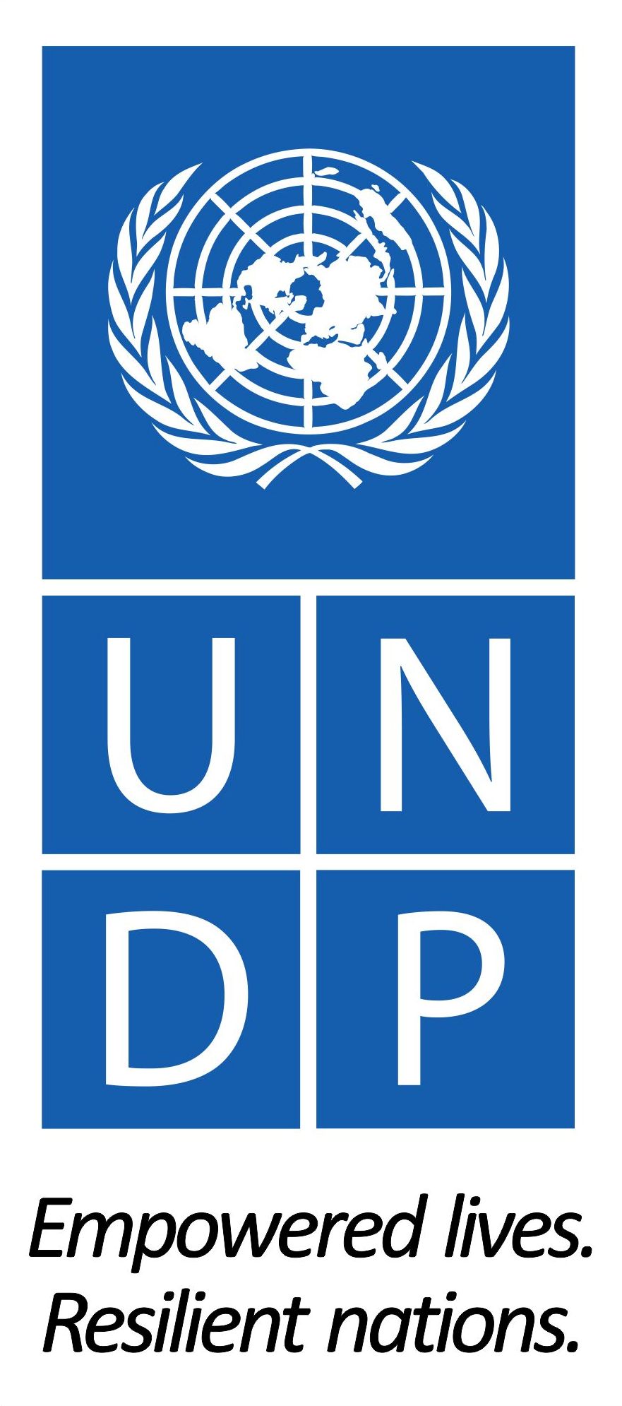 United Nations Development Programme (UNDP) - Foundation for European ...